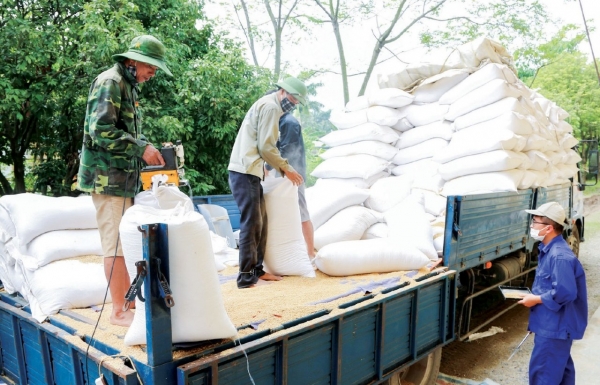 Các cục dự trữ phía Bắc chủ động ứng phó với mưa bão | Thời báo Tài ...