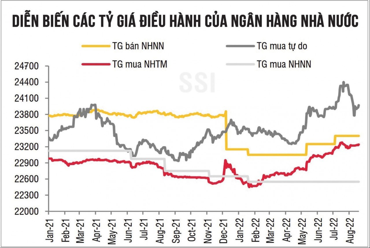 T Gi VND USD T ng L n M c Cao Nh t 11 N m Th i B o T i Ch nh Vi t Nam T Gi VND USD T ng L n M c Cao Nh t 11 N m Th i B o T i Ch nh Vi t Nam