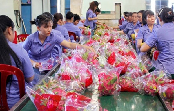 Doanh nghiệp cần lưu ý trong thanh toán khi xuất khẩu sang thị trường ...