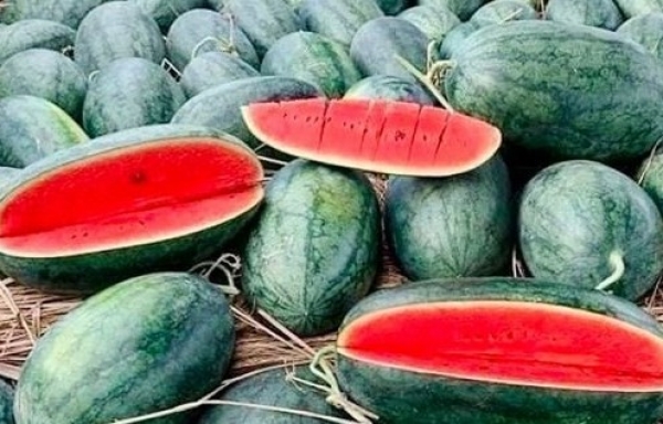 China gives green light to import of Vietnamese watermelon via official ...