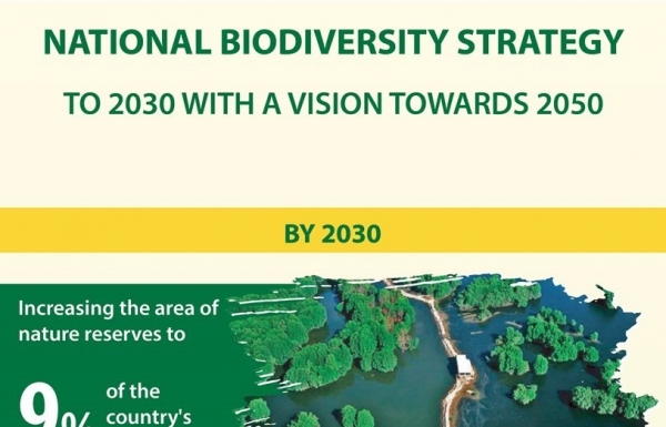 National biodiversity strategy to 2030 approved | Thời báo Tài chính ...