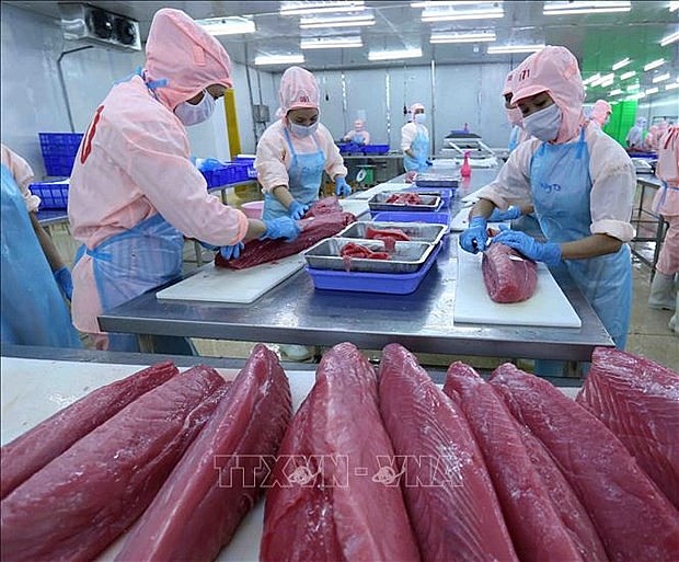 Tuna exports enjoy three-digit growth in January | Thời báo Tài chính ...