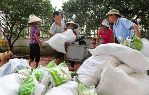 Rice aid to be delivered to the needy in Soc Trang, Nghe An | Thời báo ...