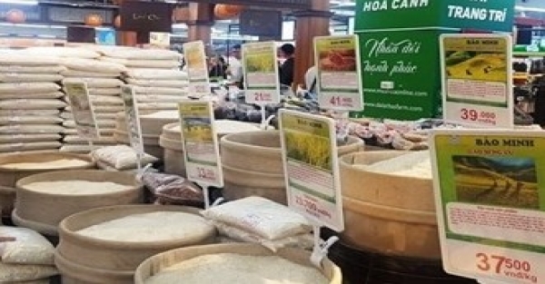 Giá lúa gạo hôm nay ngày 24/3 giữ ở mức ổn định | Thời báo Tài chính ...