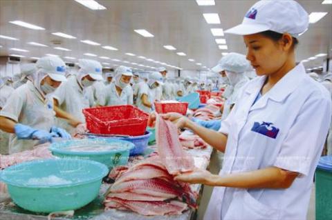 Hoa Kỳ vi phạm các Hiệp định của WTO về cá da trơn | Thời báo Tài chính ...